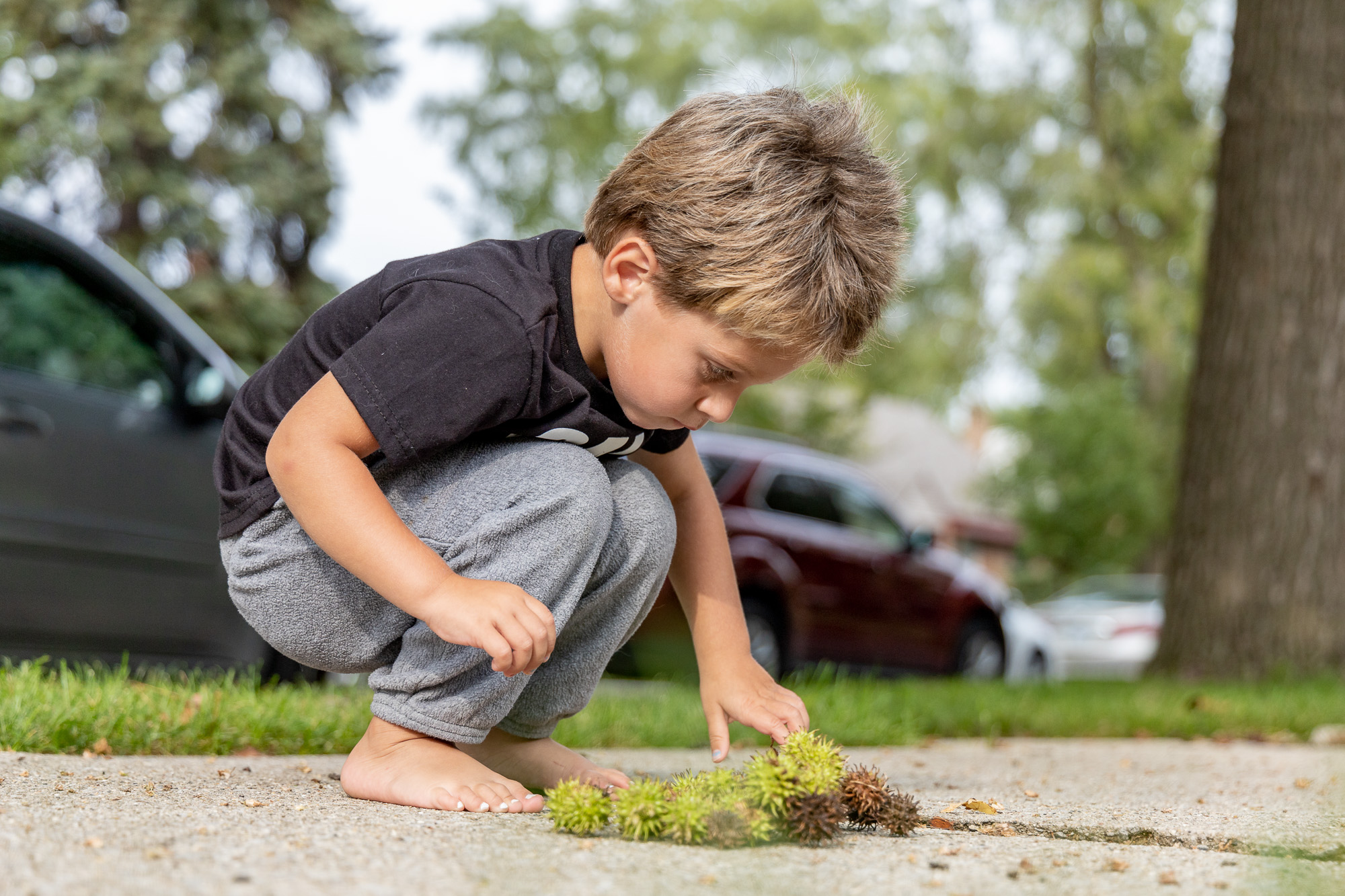 Collections: They're Not Just Clutter! - DuPage Children's Museum